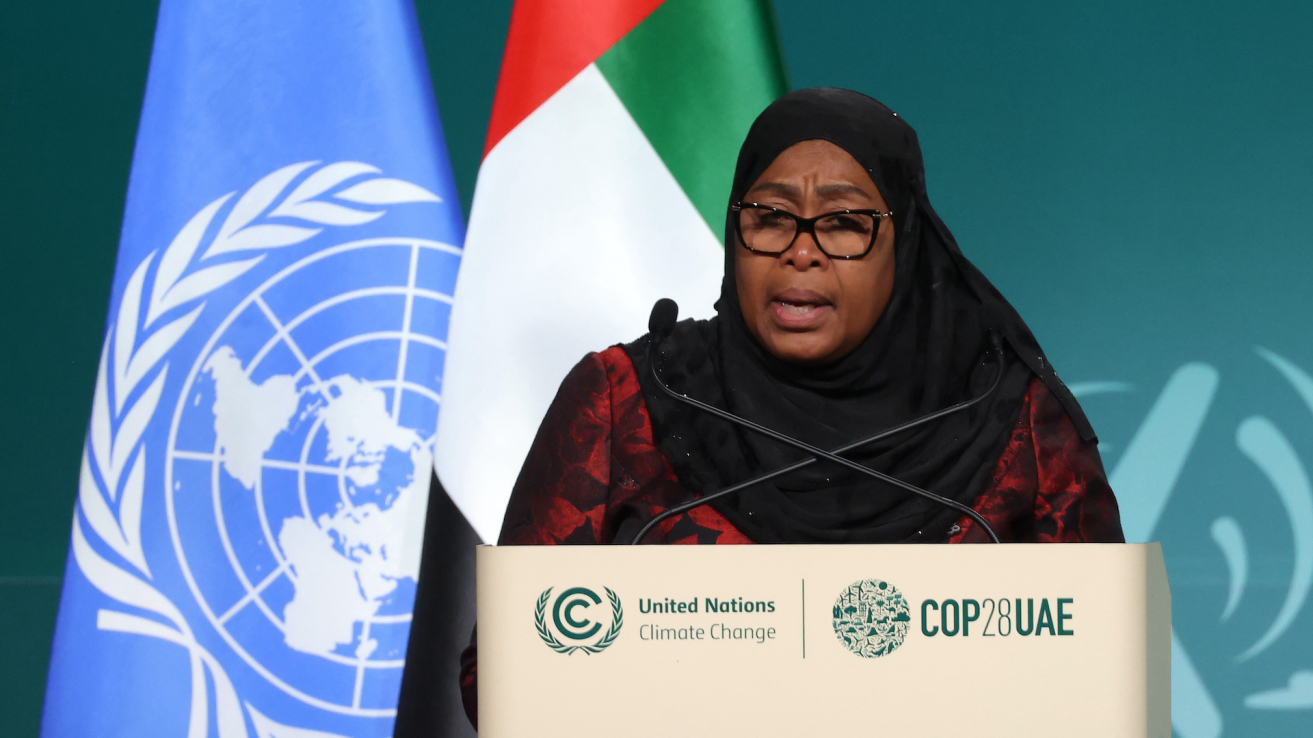 Samia Suluhu Hassans Hesitant Reforms Iss Africa 9385